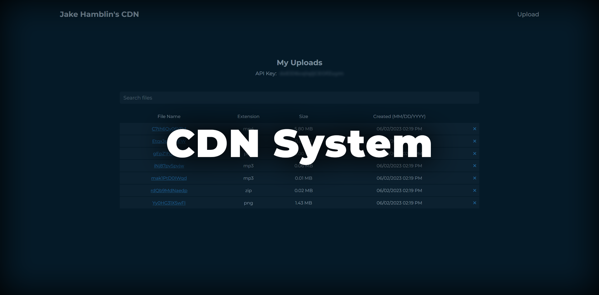 CDN System - Jake Hamblin
